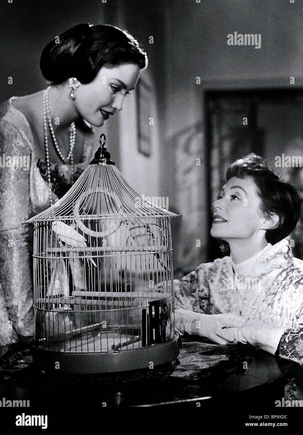 Ellen Palmer High Resolution Stock Photography and Images - Alamy