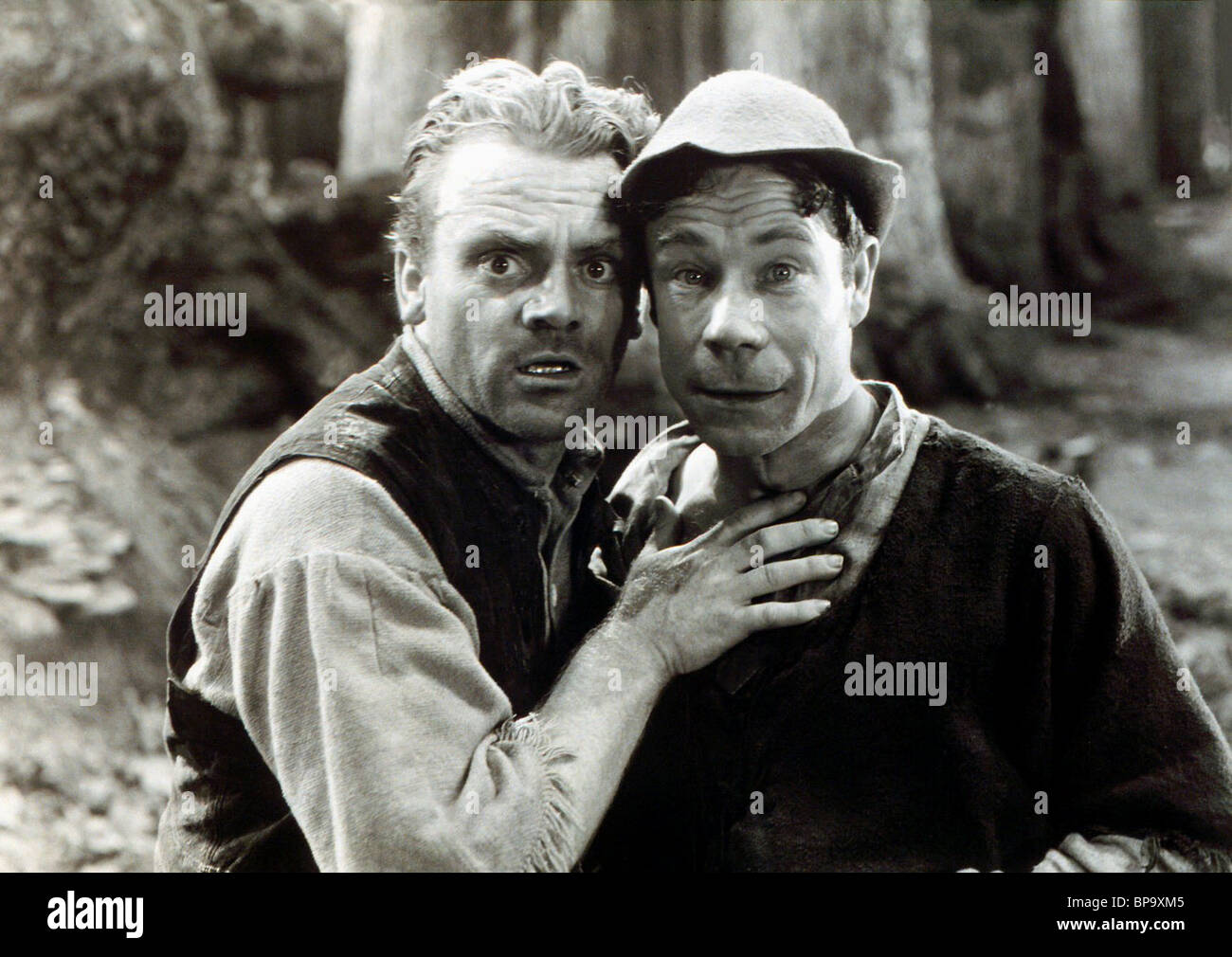 JAMES CAGNEY, JOE E. BROWN, A MIDSUMMER NIGHT'S DREAM, 1935 Stock Photo ...