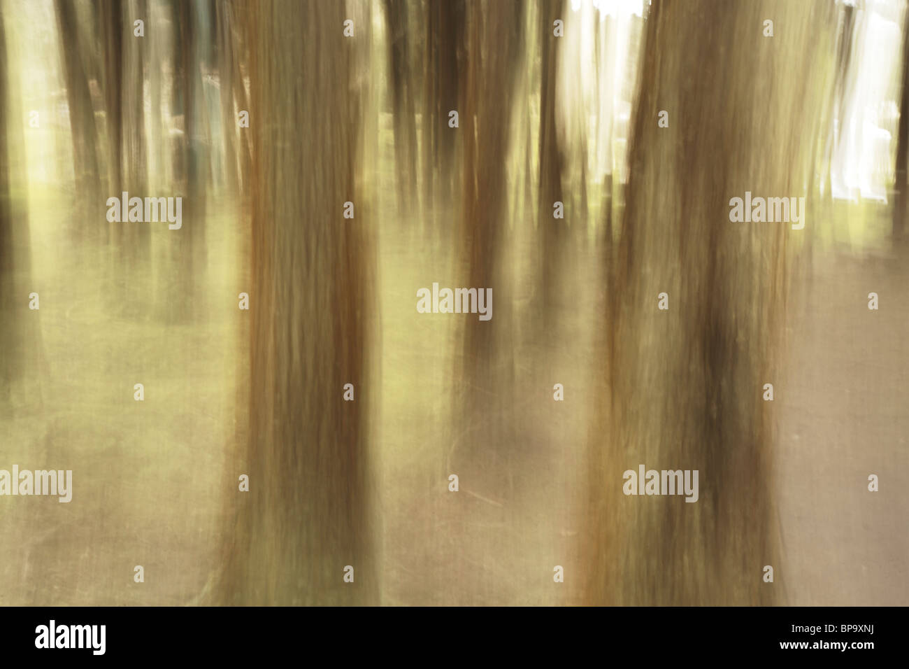 Abstract movement hi-res stock photography and images - Alamy