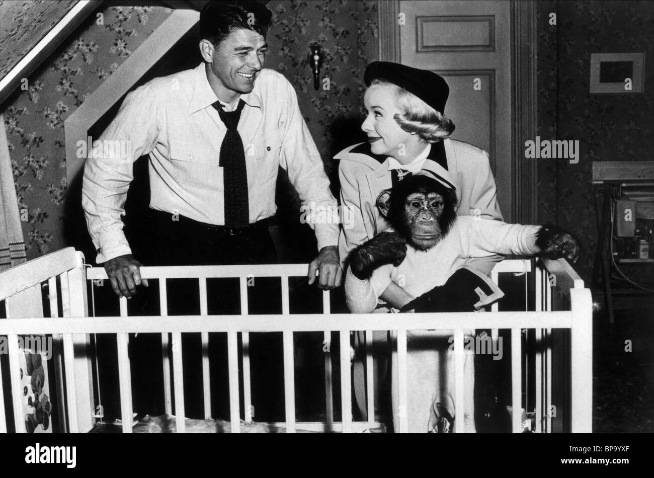 RONALD REAGAN DIANA LYNN BONZO BEDTIME FOR BONZO (1951 Stock Photo - Alamy