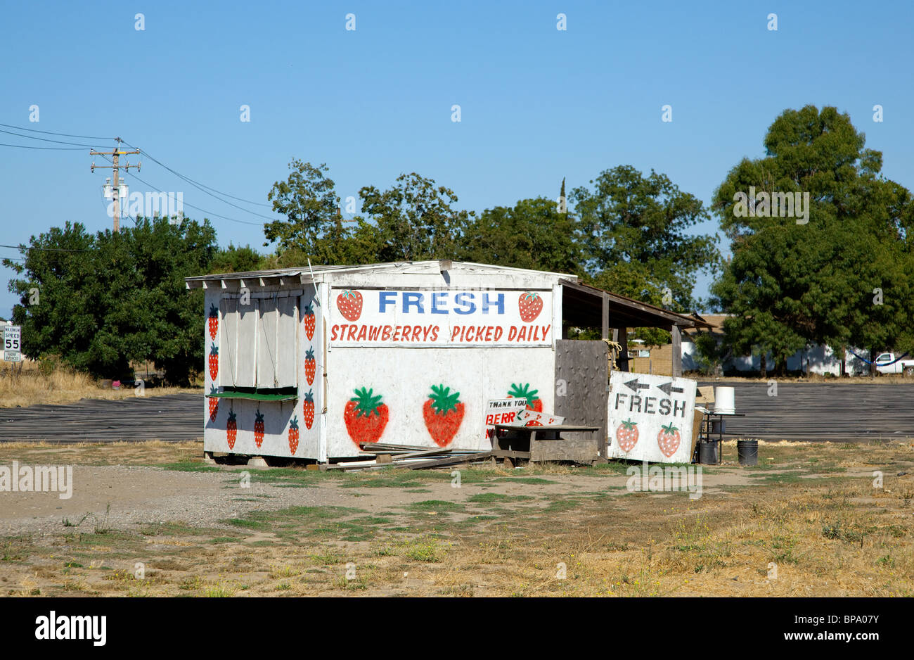 Roadside strawberry stand in Central CA Stock Photo - Alamy