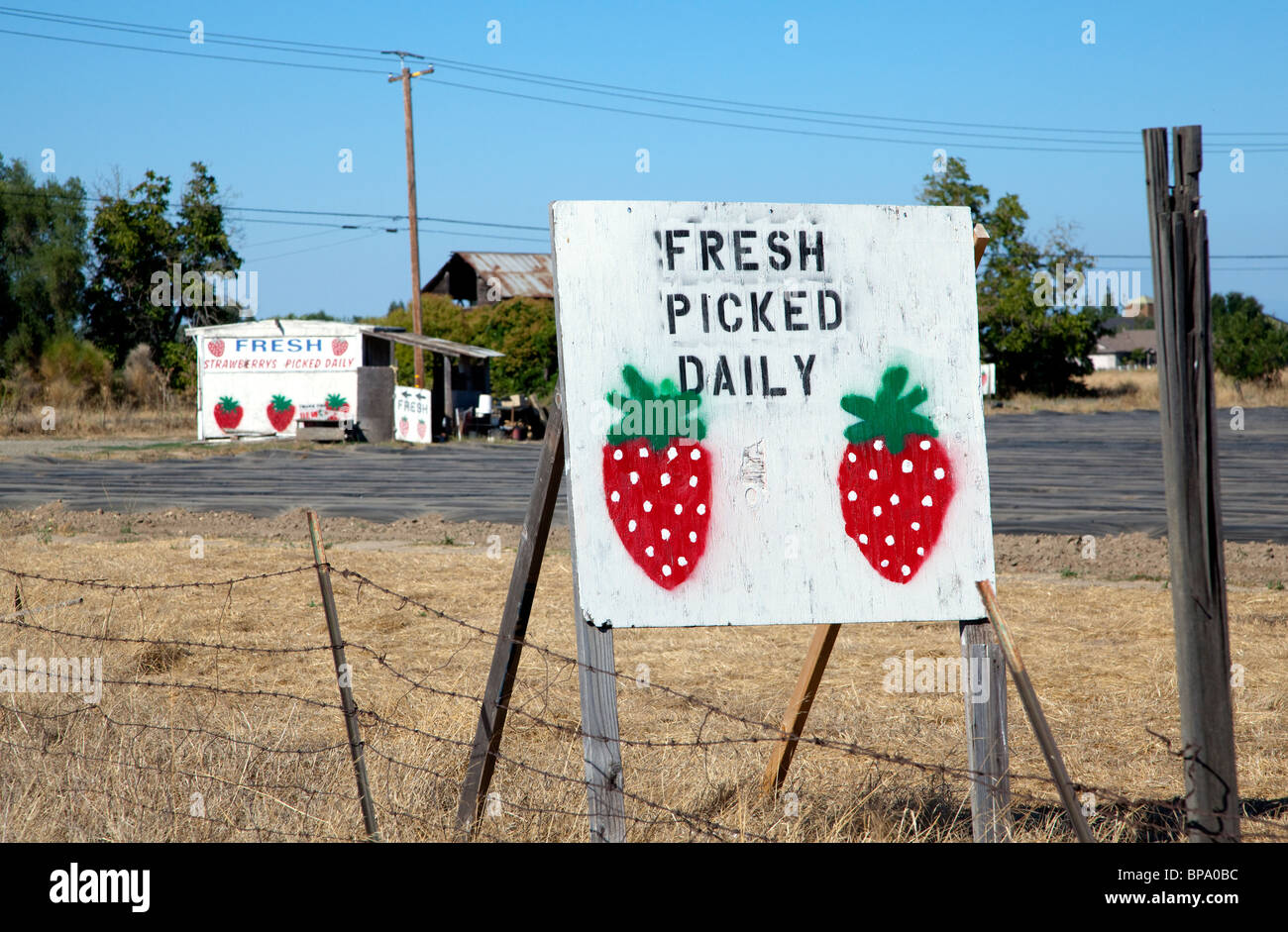Roadside strawberry stand in Central CA Stock Photo - Alamy