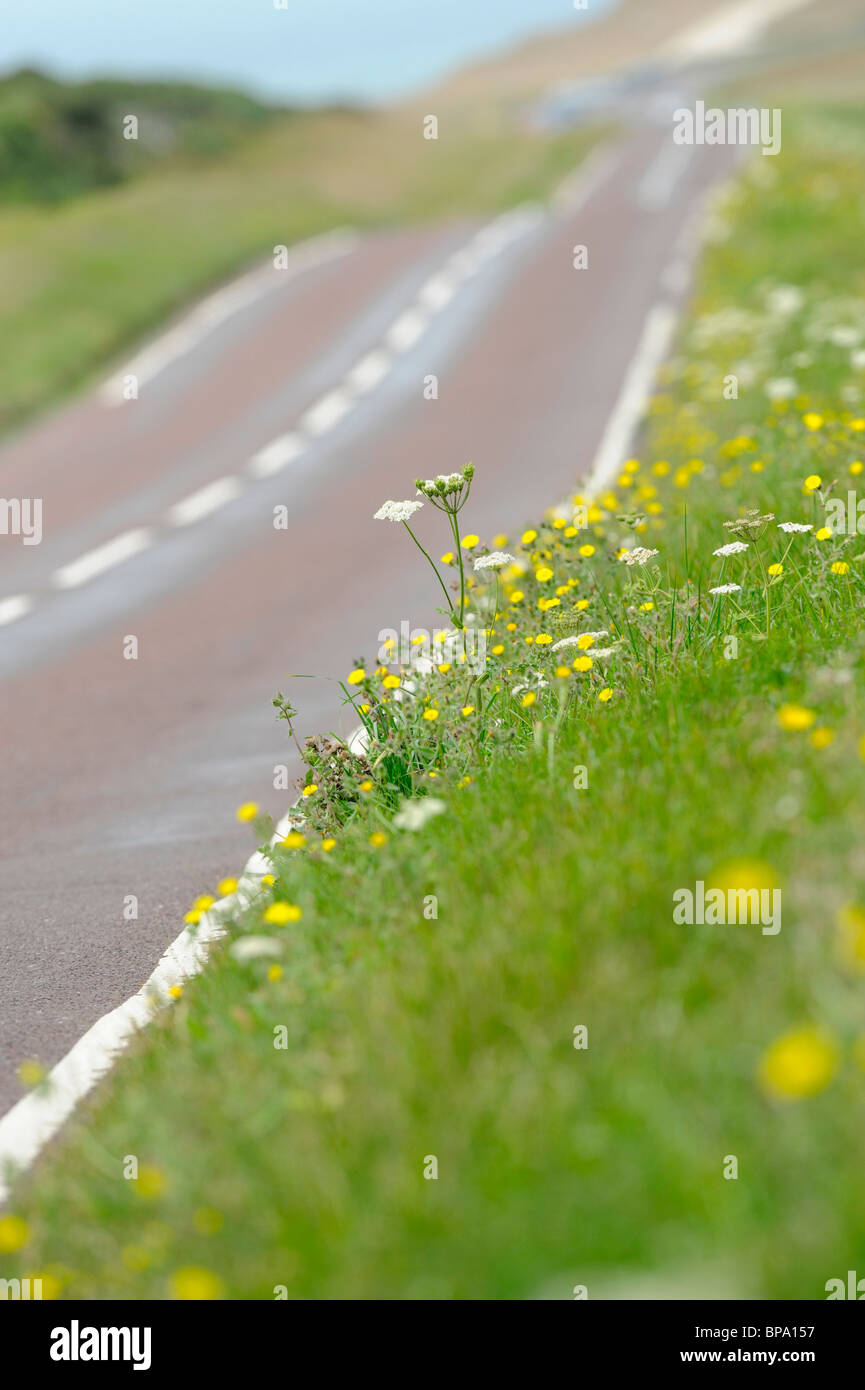 Coastal mapping hi-res stock photography and images - Alamy