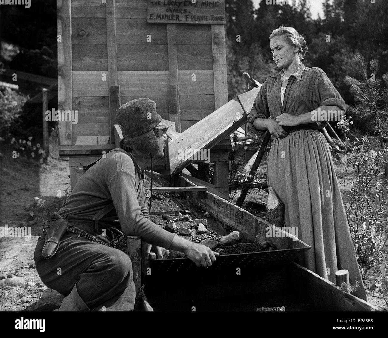 Schell Tree High Resolution Stock Photography and Images - Alamy