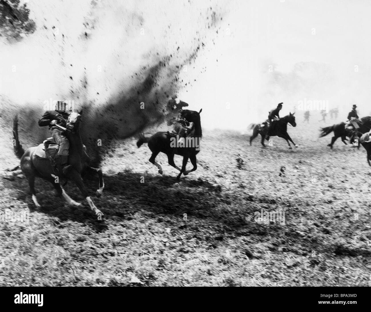 War Horses High Resolution Stock Photography and Images - Alamy