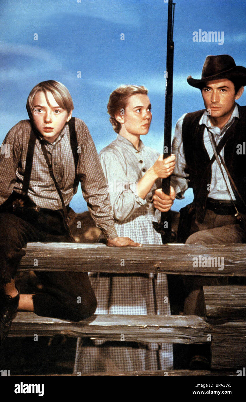 The yearling 1946 hi-res stock photography and images - Alamy