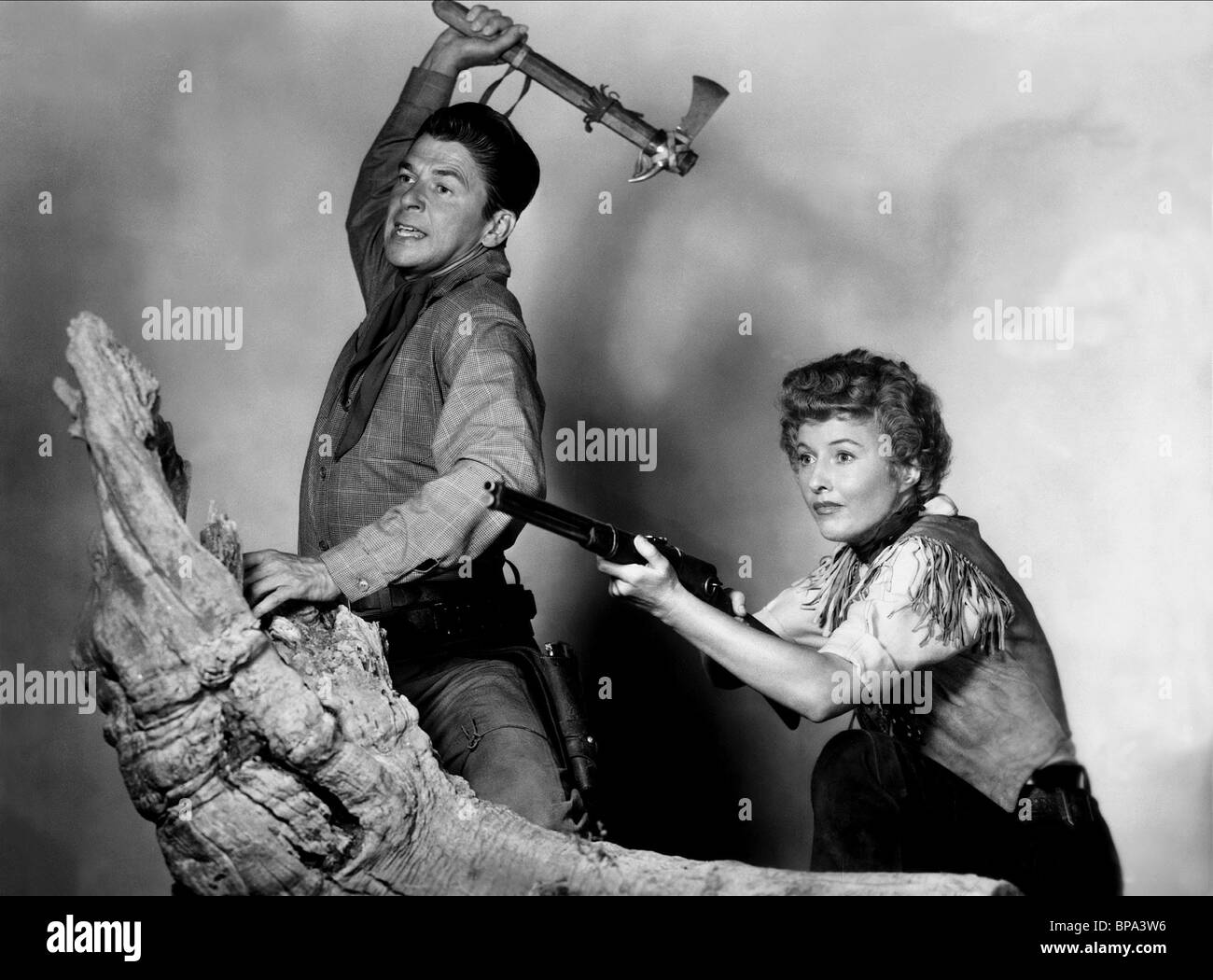 The Queen Cattle High Resolution Stock Photography and Images - Alamy