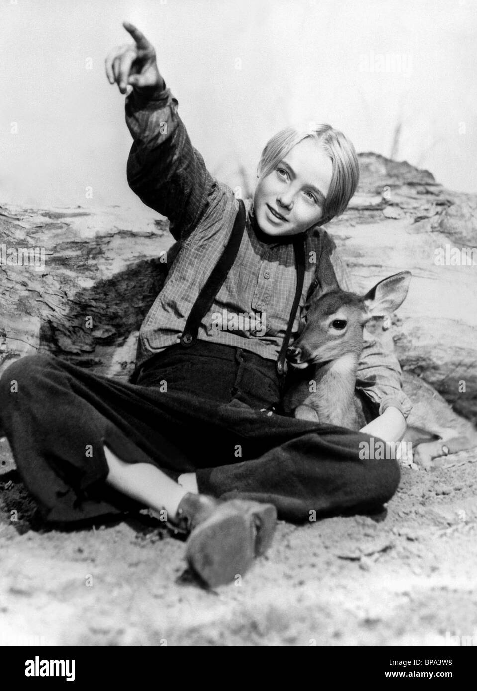 CLAUDE JARMAN THE YEARLING (1946 Stock Photo - Alamy