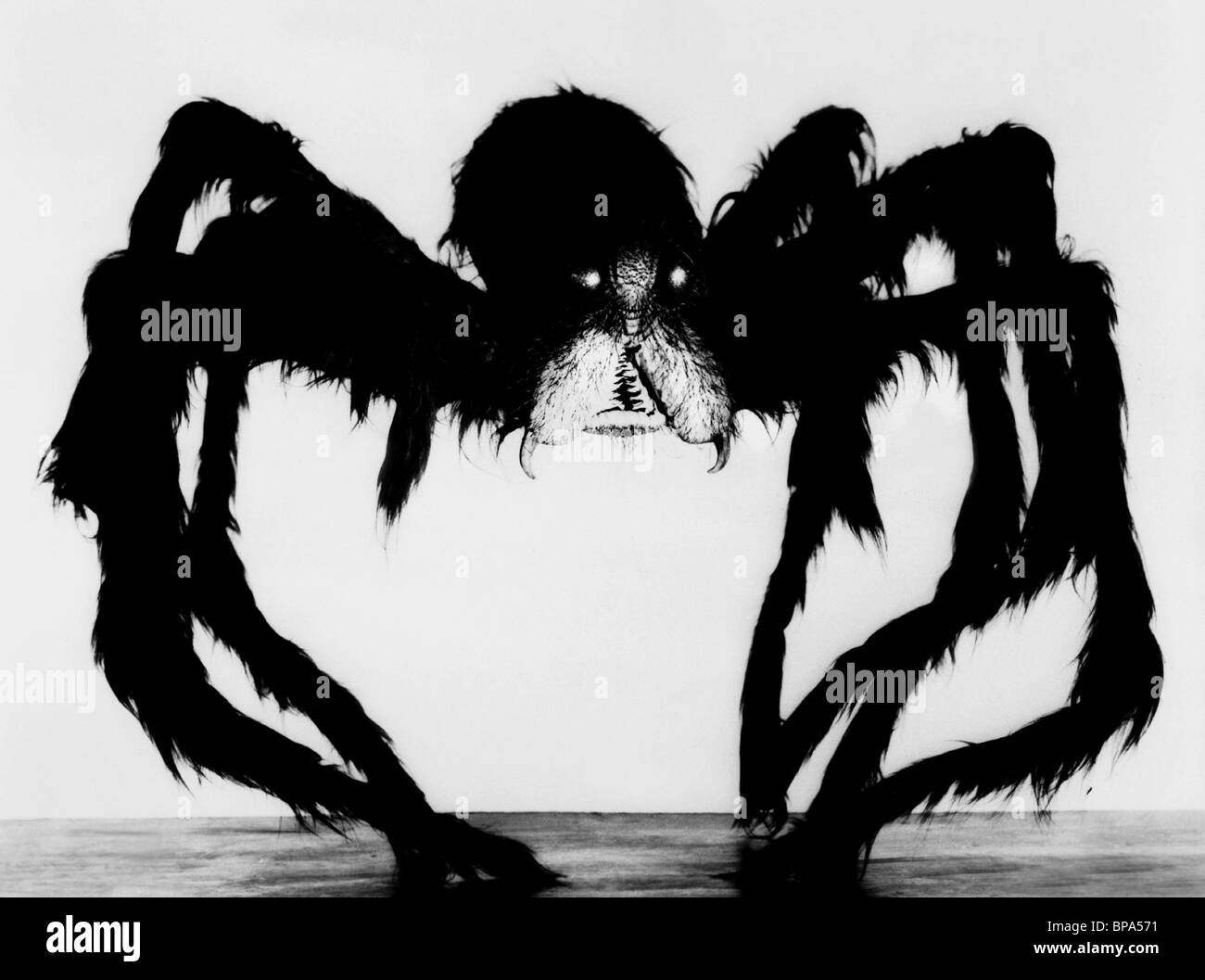 Horror Movie Giant Spider Tarantula High Resolution Stock Photography ...