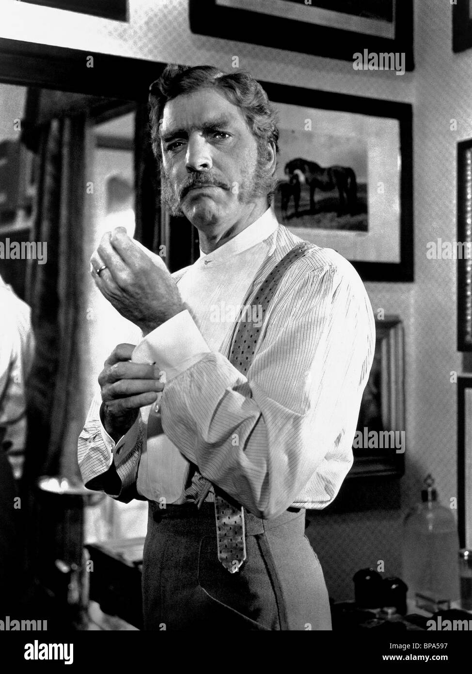 Leopard And The Fox High Resolution Stock Photography and Images - Alamy