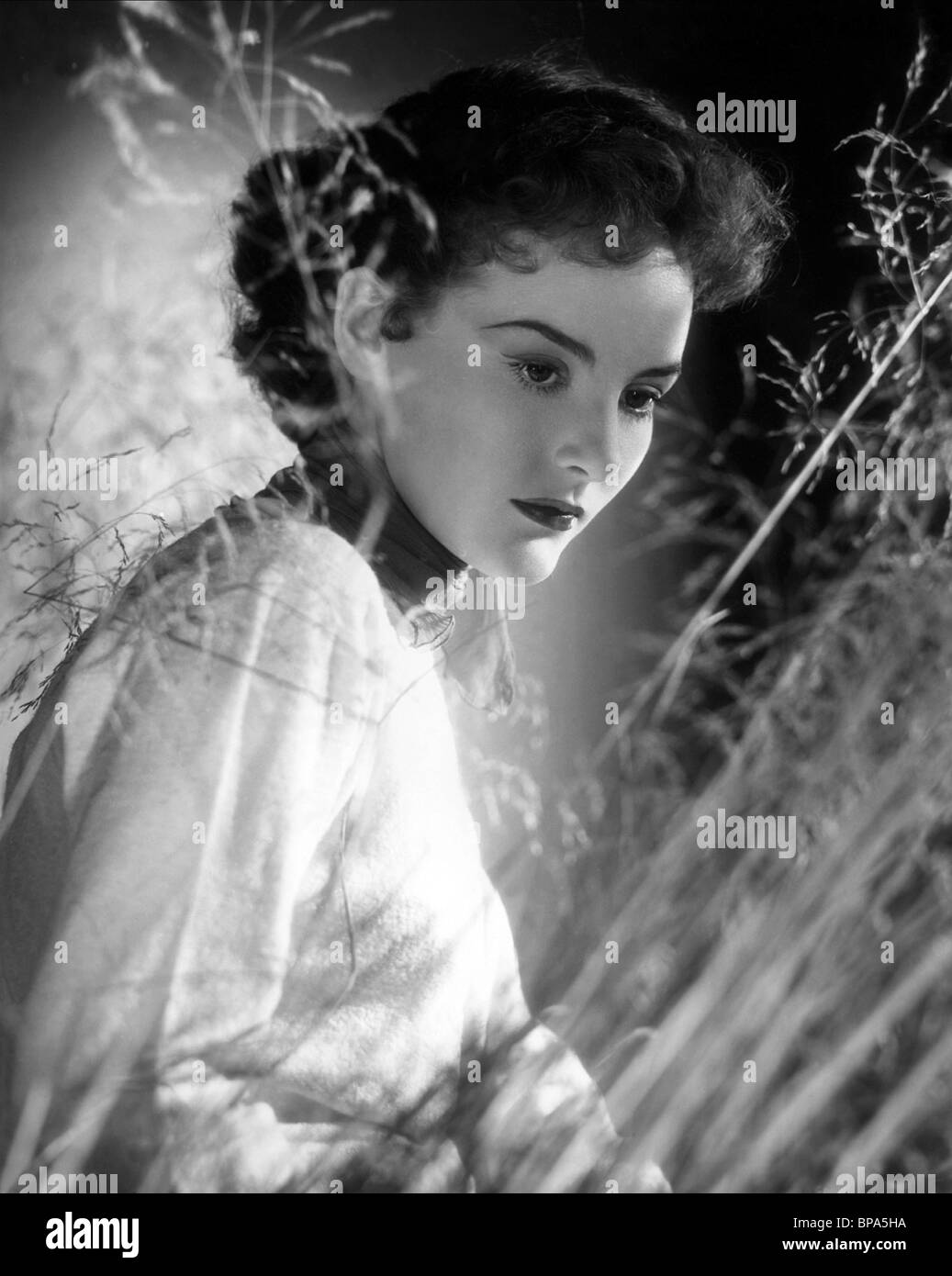 Petula clark hi-res stock photography and images - Alamy