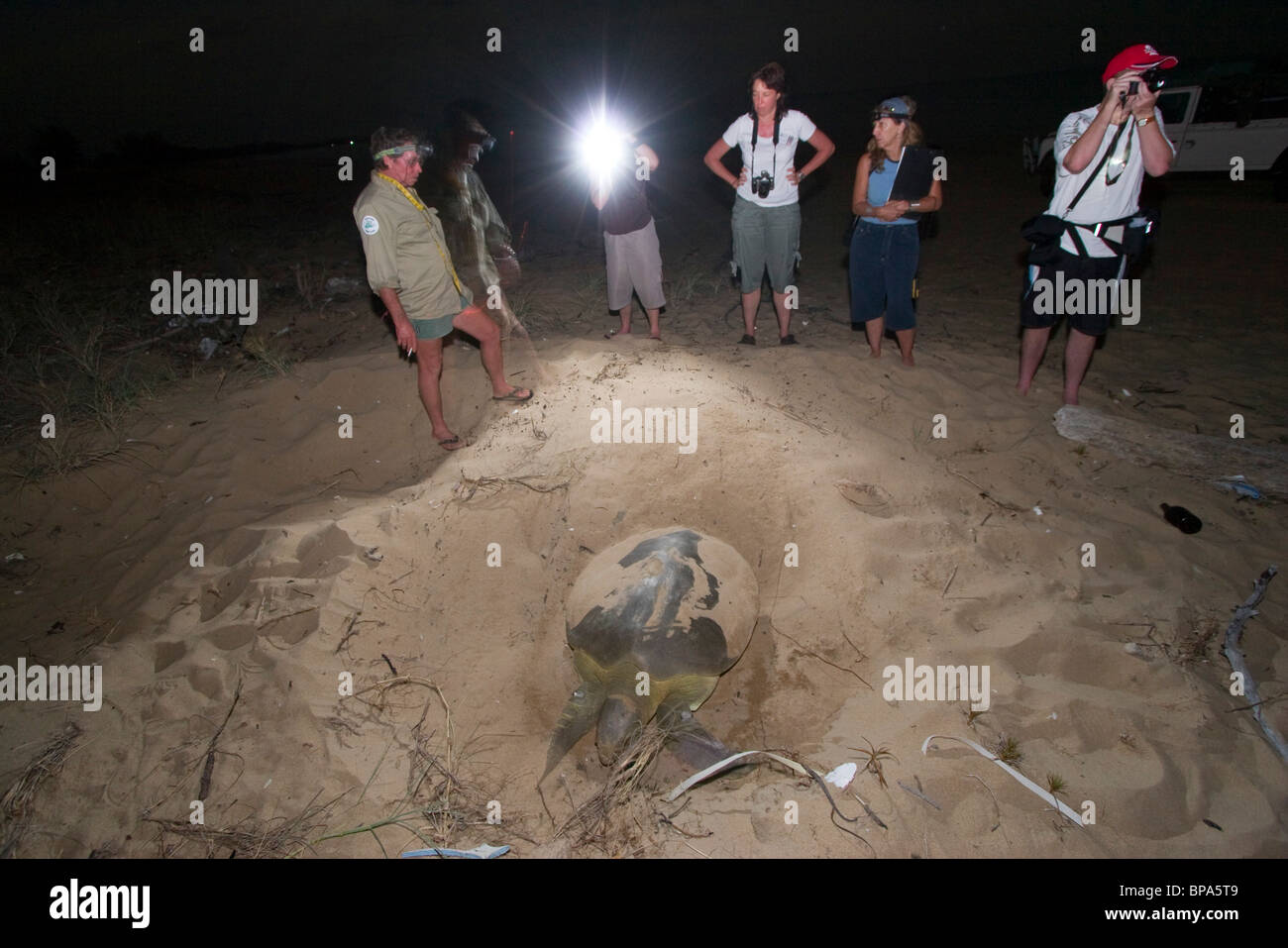 Mapoon beach hi-res stock photography and images - Alamy