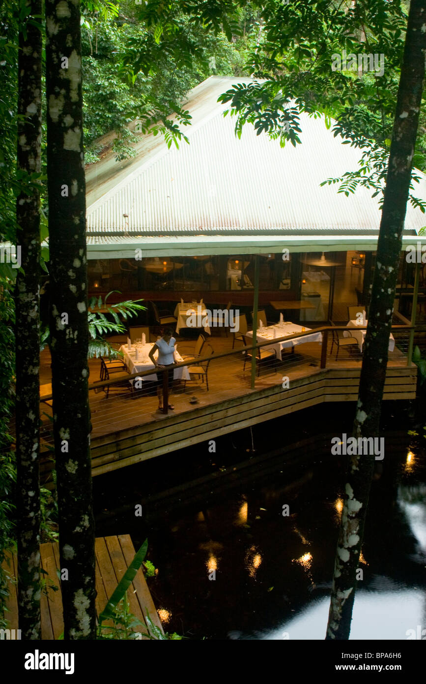 A young woman on the balcony of the Daintree Eco Lodge restaurant, deep ...