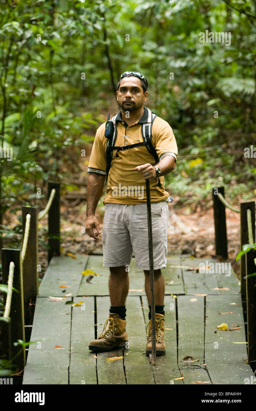 A young aboriginal guide leads visitors through the rainforest of the ...