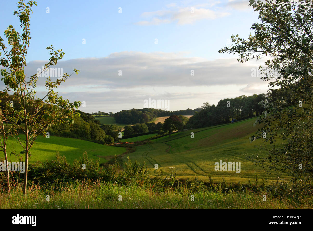 Devon valley hi-res stock photography and images - Alamy
