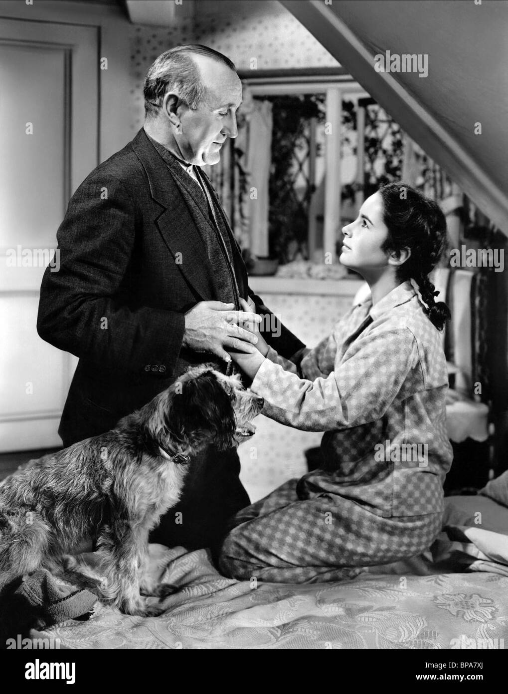 Donald Crisp National Velvet