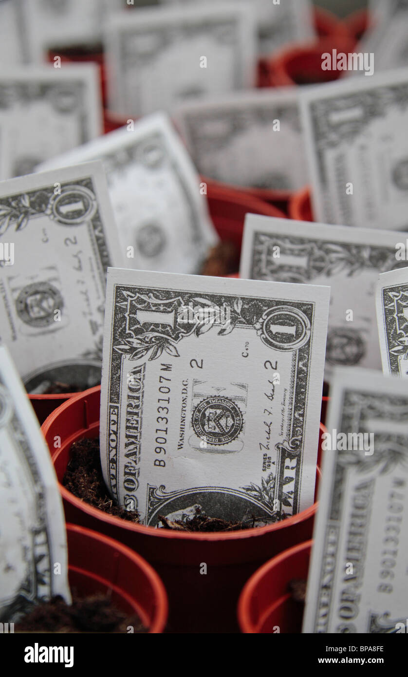 Toy US $1 dollar notes 'growing' in plant pots Stock Photo - Alamy