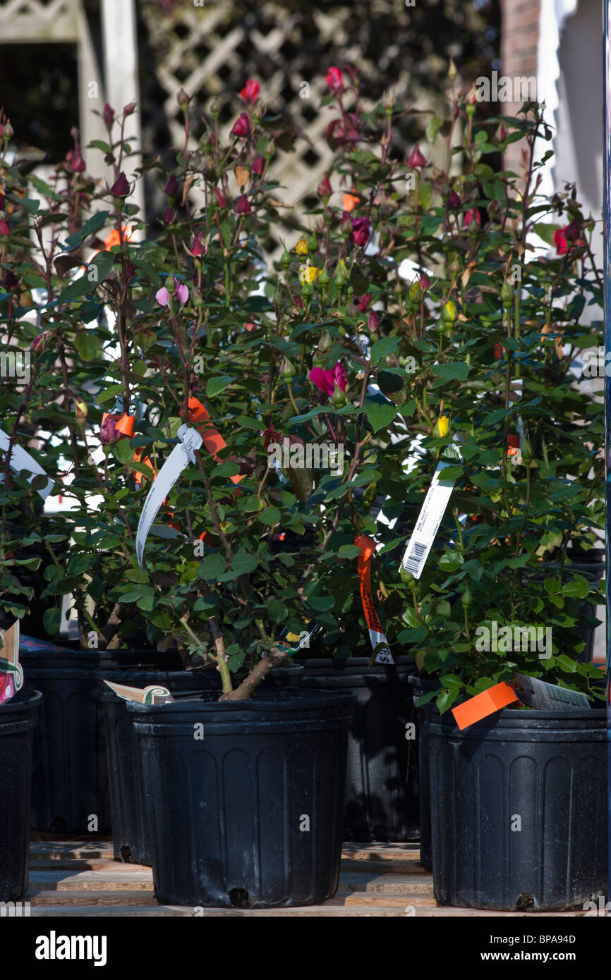 Stickers hi res hi-res stock photography and images - Alamy