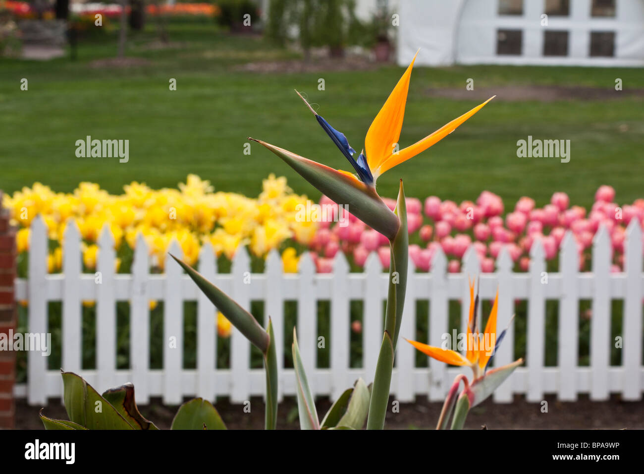 Fencing hi res hi-res stock photography and images - Alamy