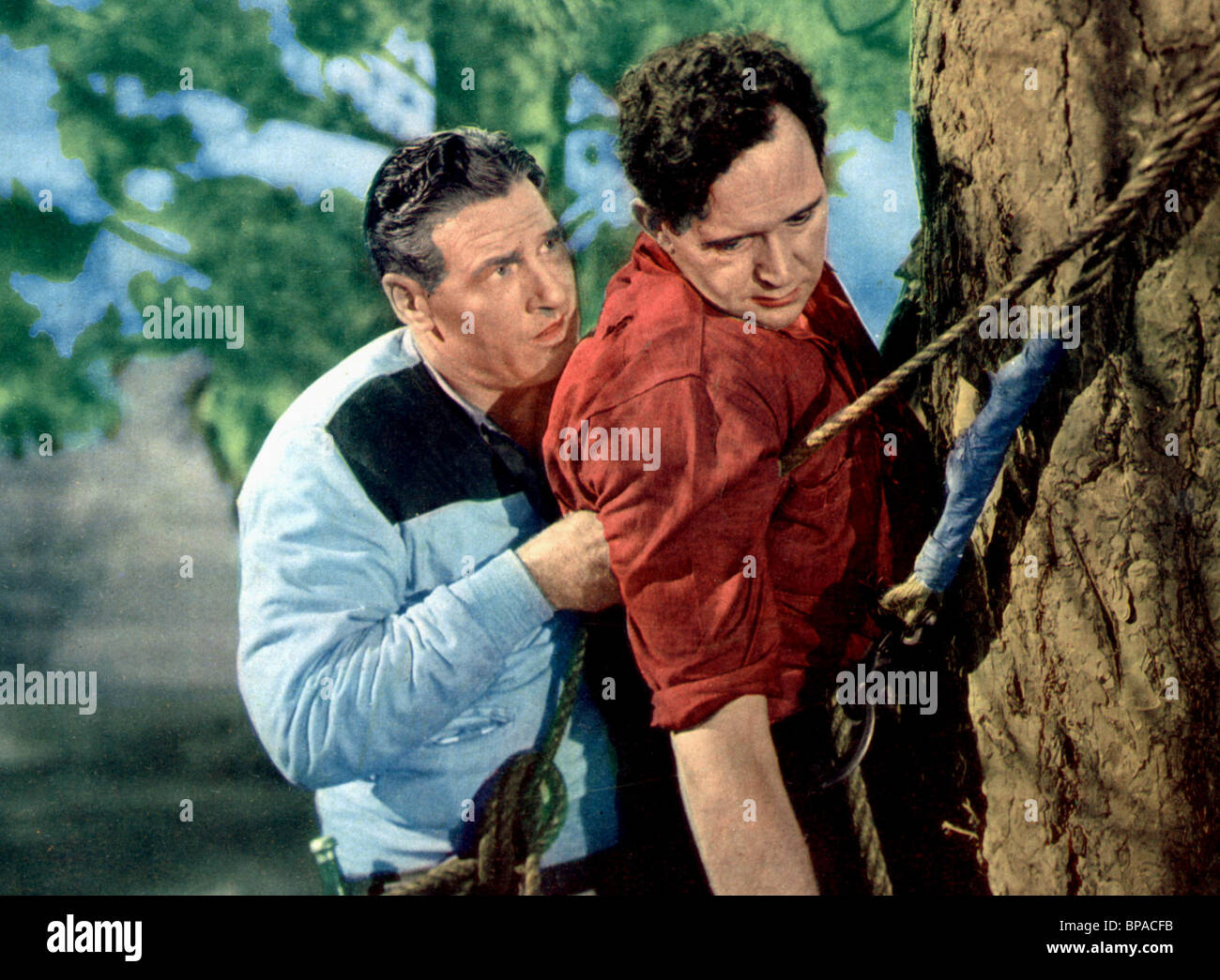 SCENE WITH RICHARD ARLEN TIMBER QUEEN (1944 Stock Photo - Alamy