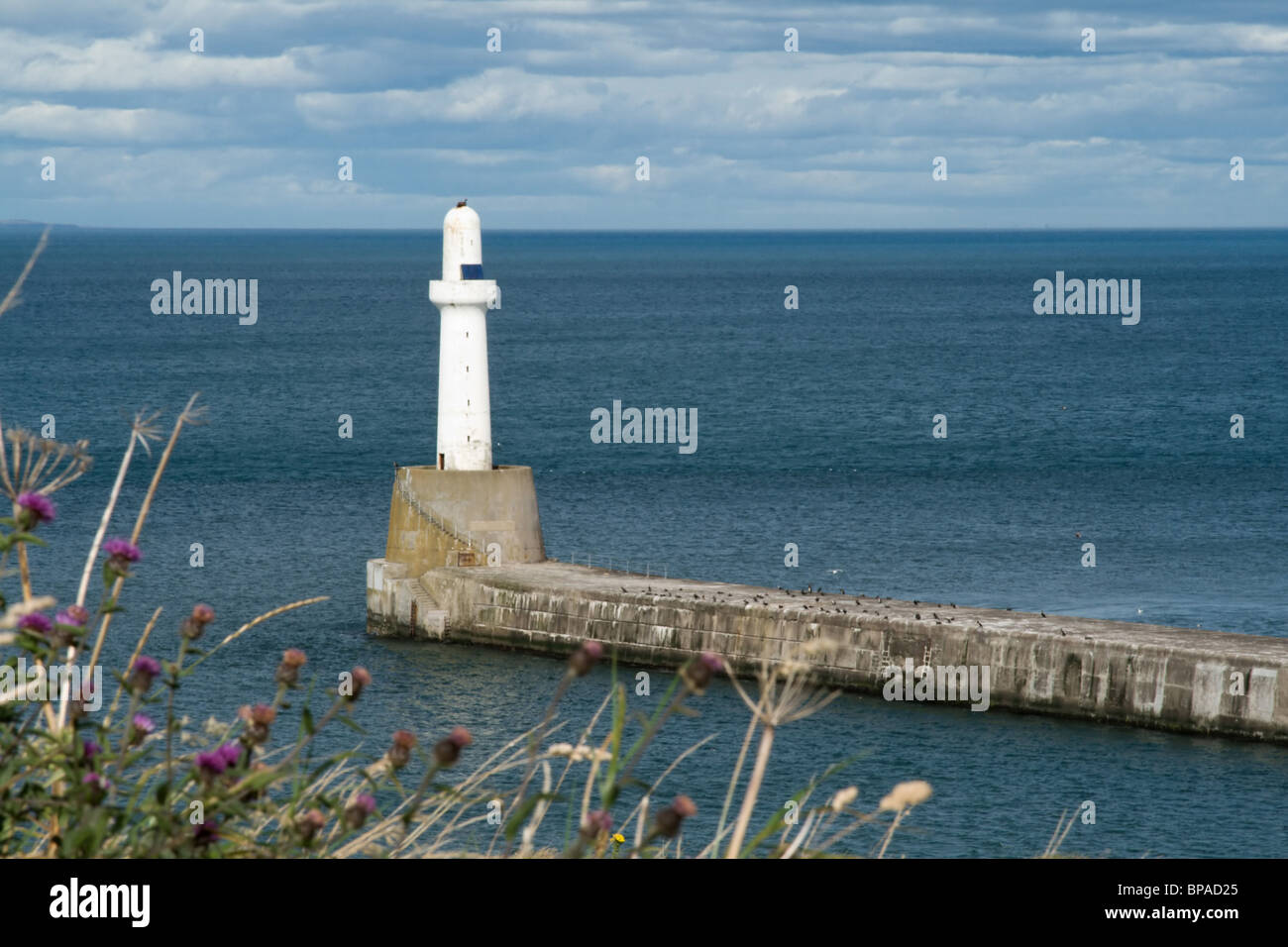 Scottish lighthouse hi-res stock photography and images - Alamy