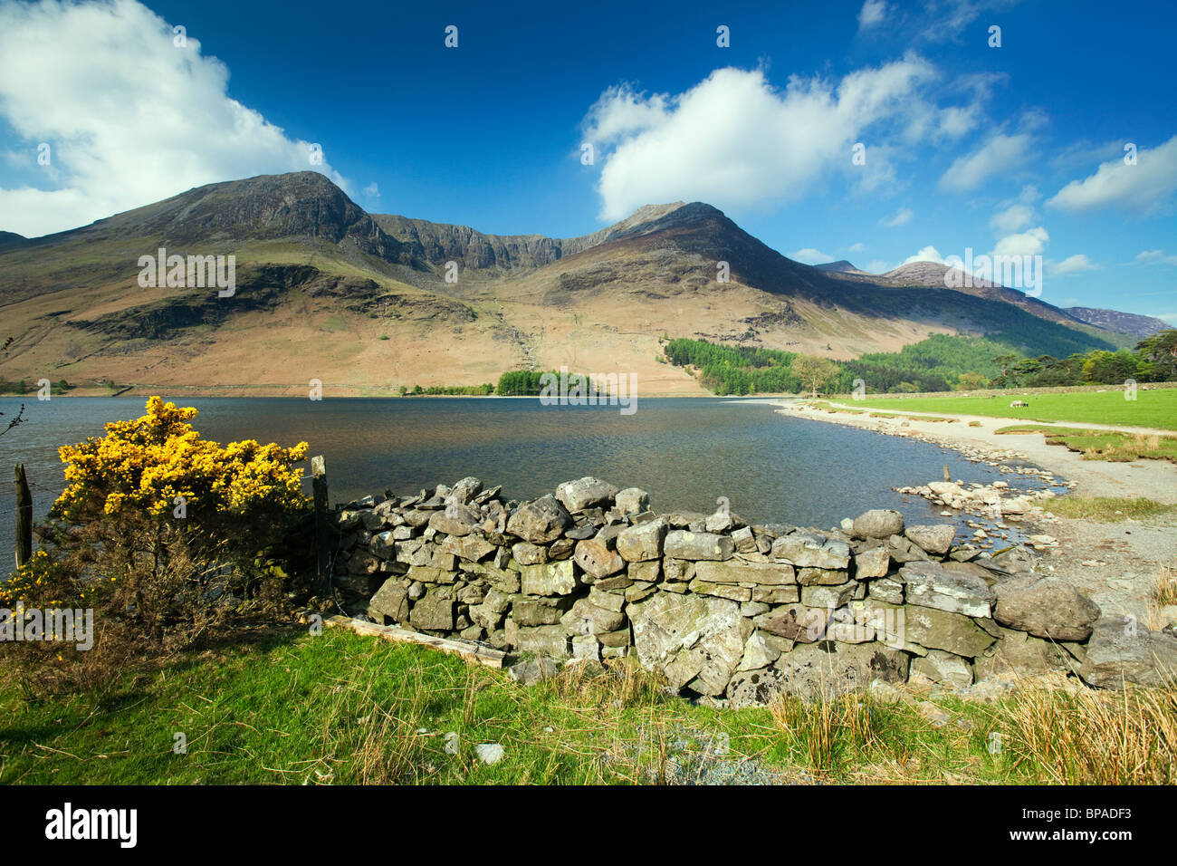 Buttermere With "Red Pike" "High Stile" Mountains High Above The Lake ...