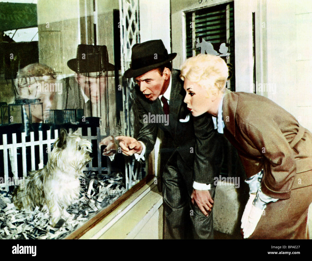 Frank Sinatra Kim Novak Pal Joey 1957 High Resolution Stock Photography ...
