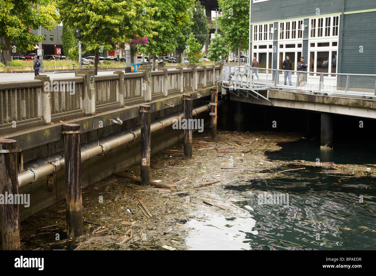 Litter in water High Resolution Stock Photography and Images - Alamy