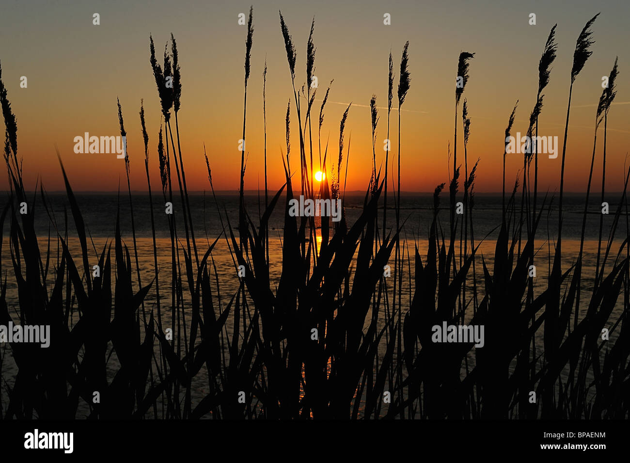 Gironde estuary and bordeaux hi-res stock photography and images - Alamy