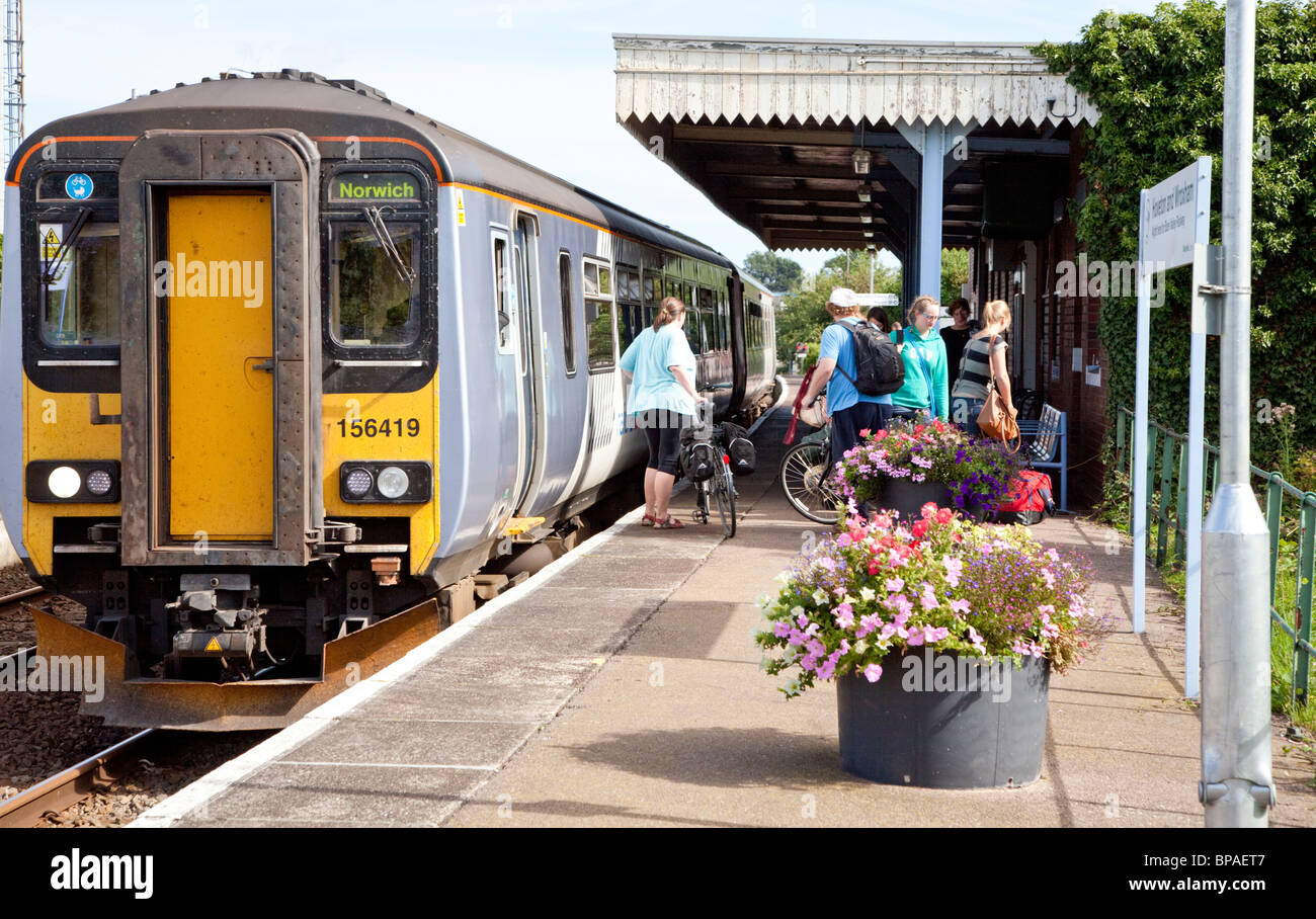 Bittern line hi-res stock photography and images - Alamy