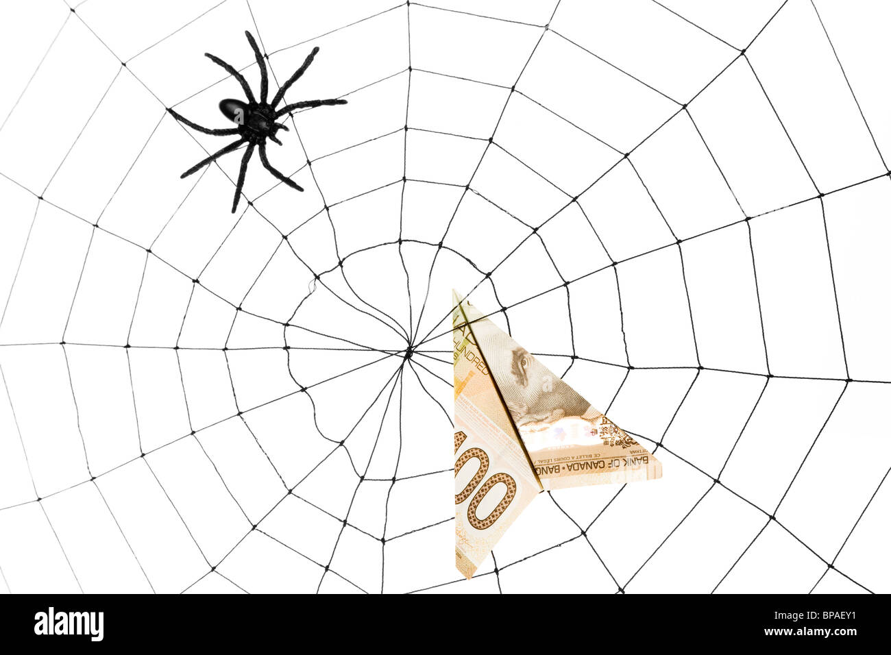 Spider Web and dollar, business concept Stock Photo - Alamy