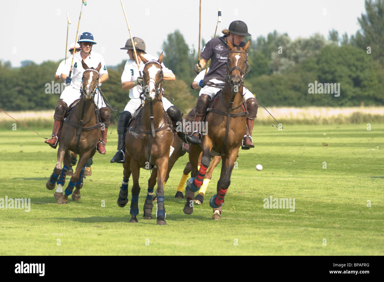 Field polo hi-res stock photography and images - Alamy