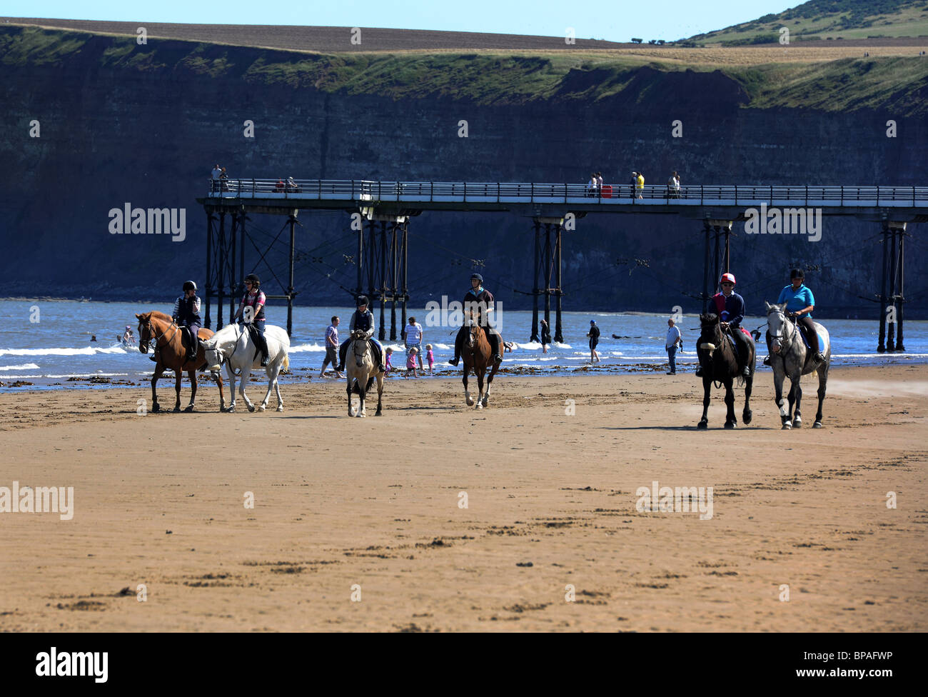 Ponies On Beach High Resolution Stock Photography and Images - Alamy