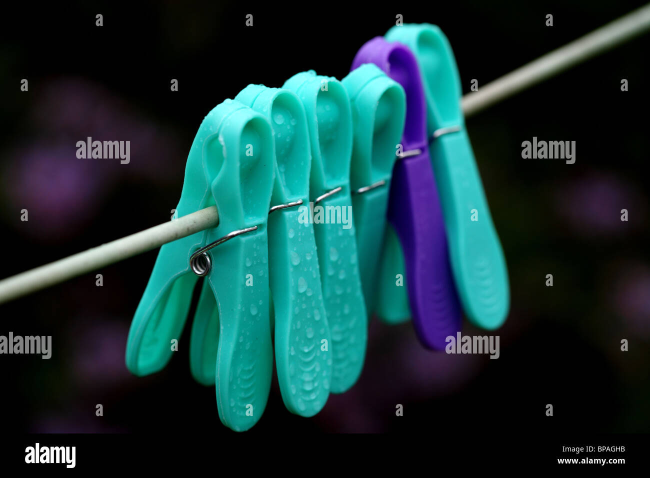 pegs on the washing line in the rain Stock Photo - Alamy