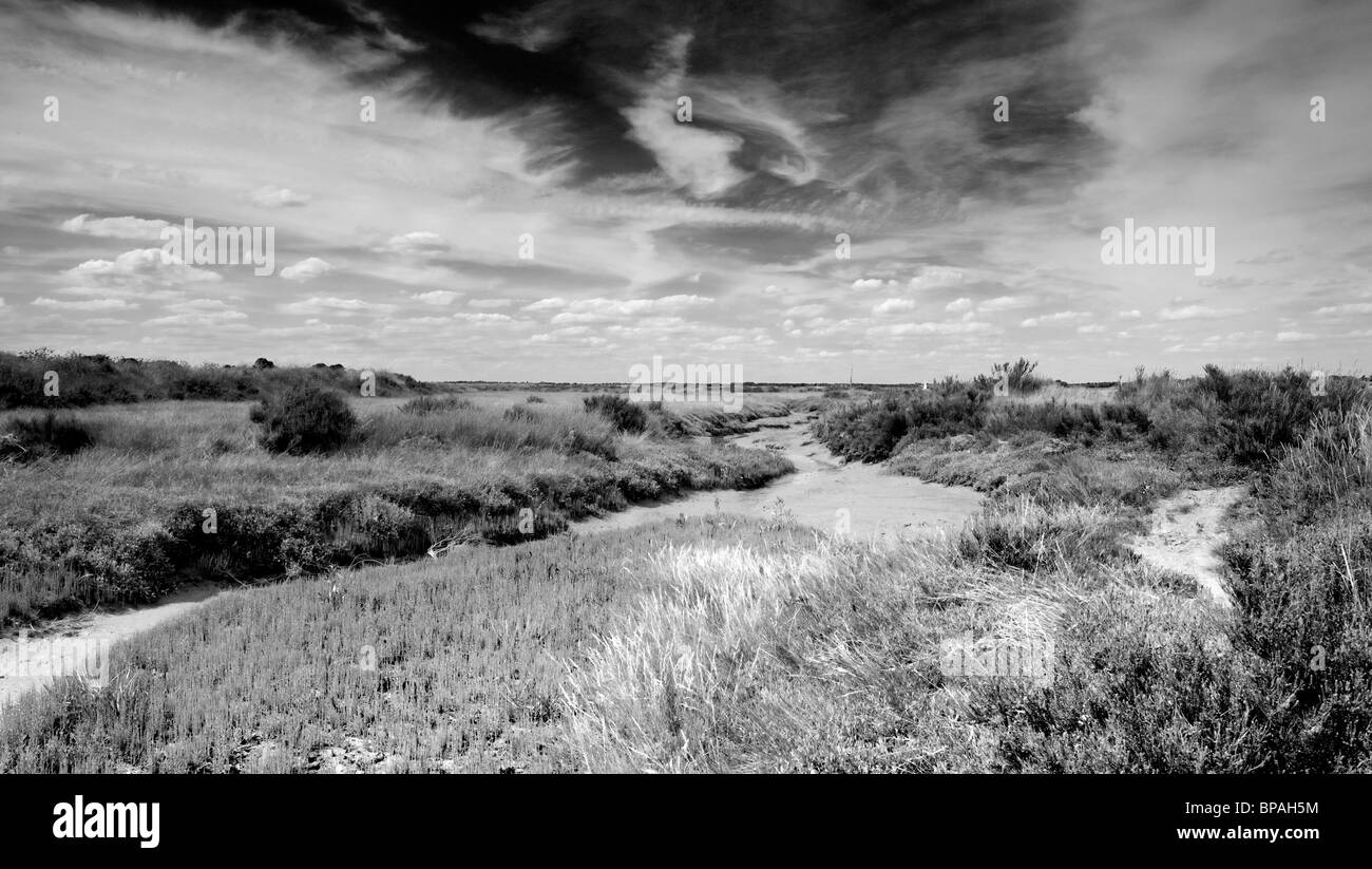 A black and white image of the grass covered salt marshes at Mersea ...
