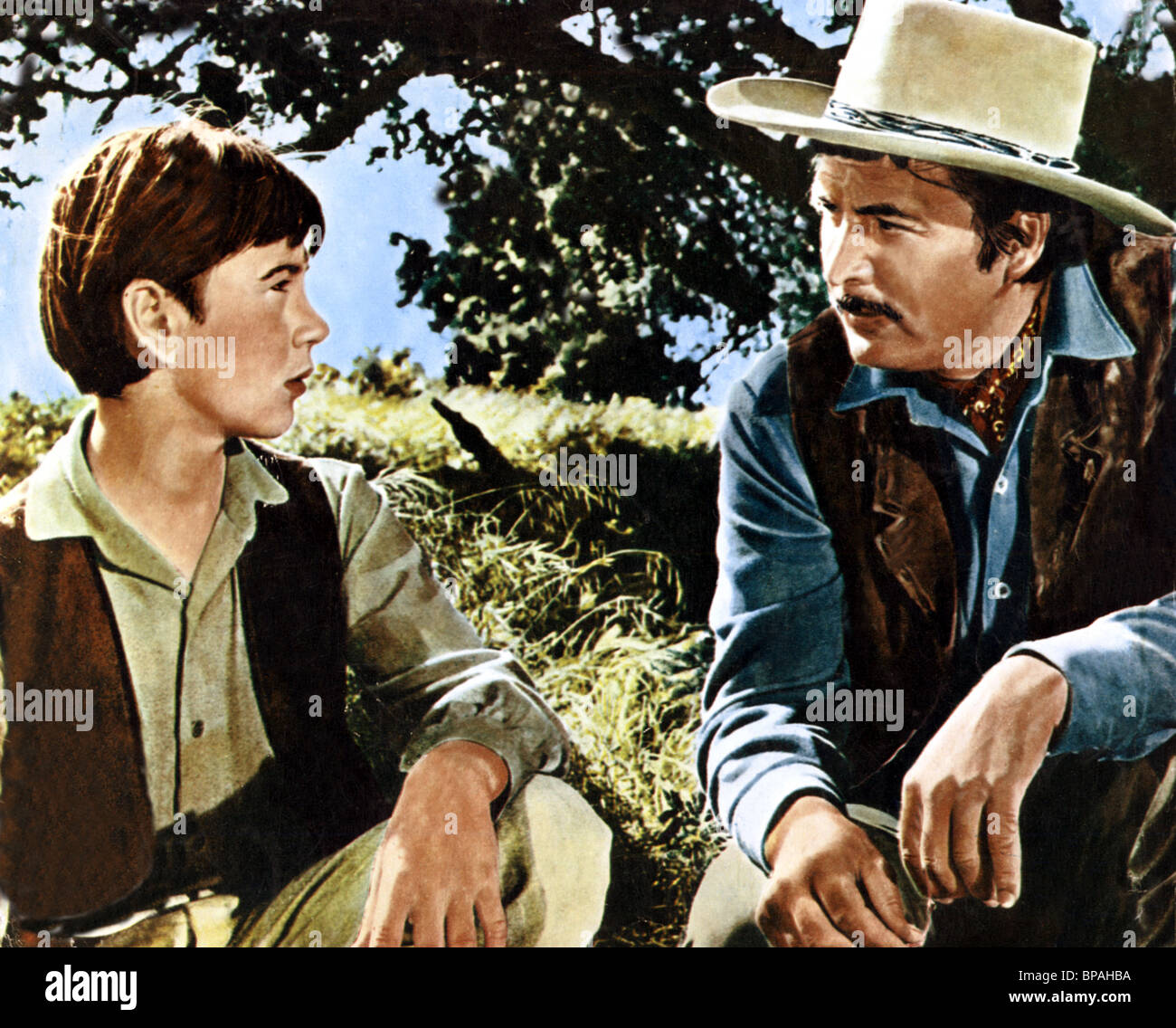 Old Yeller 1957 High Resolution Stock Photography and Images - Alamy