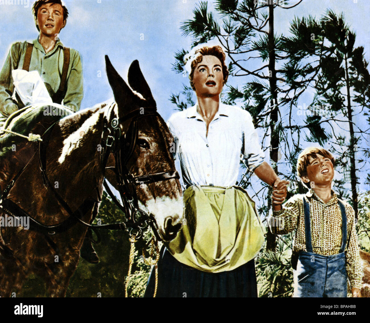 Old Yeller High Resolution Stock Photography and Images - Alamy