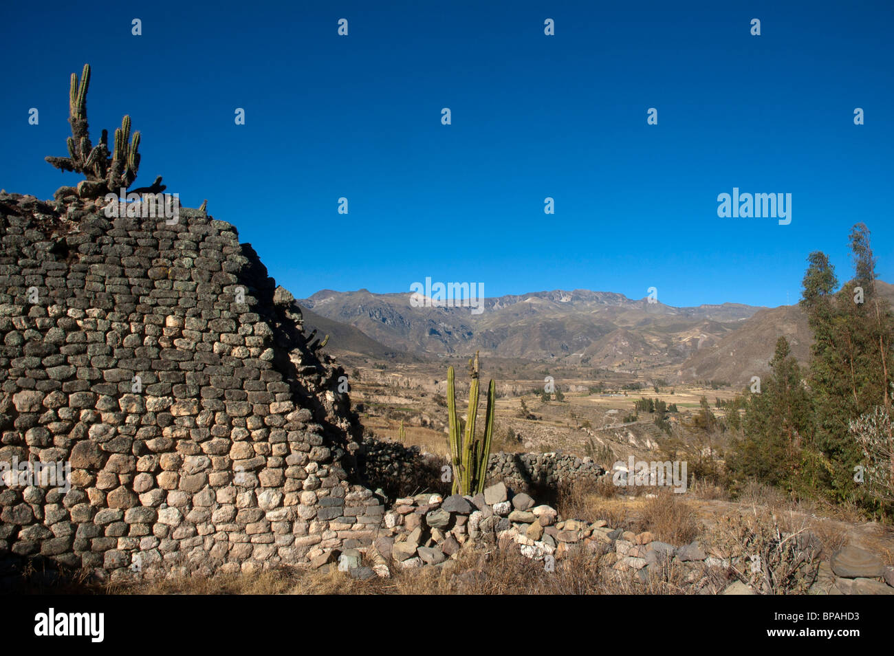 Uyo uyo peru hi-res stock photography and images - Alamy