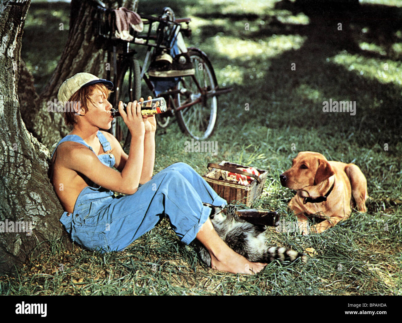 Bill Mumy High Resolution Stock Photography and Images - Alamy