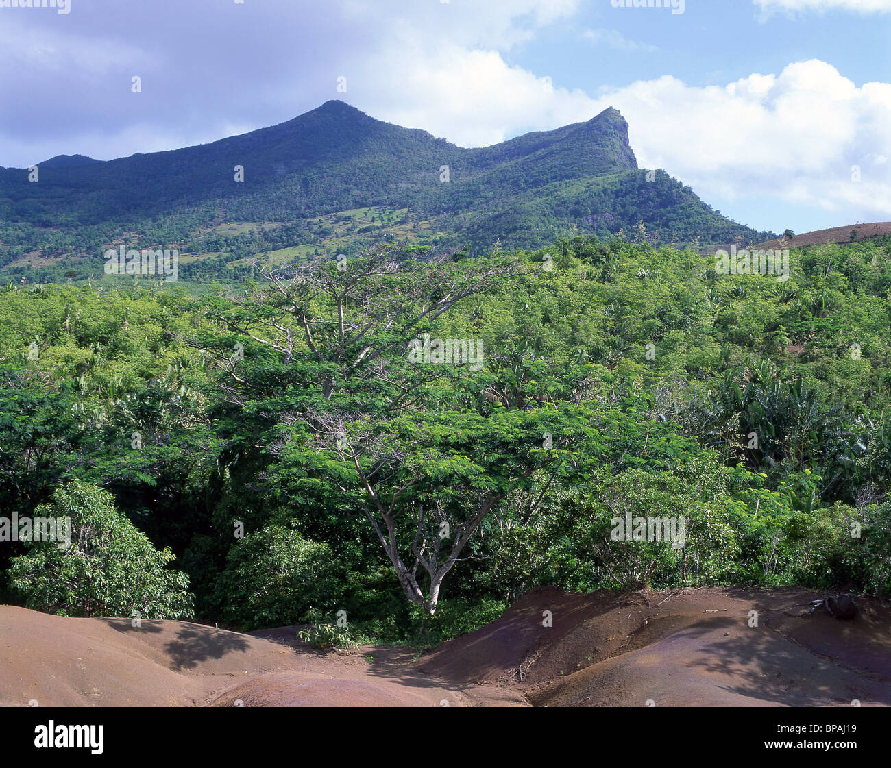 Mauricio chamarel hi-res stock photography and images - Alamy