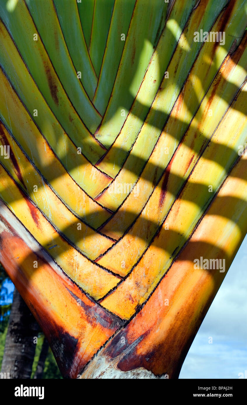 Flac image hi-res stock photography and images - Alamy
