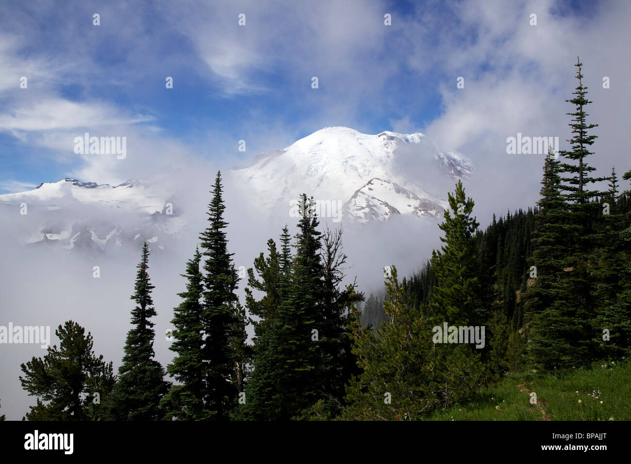Ranier national park hi-res stock photography and images - Alamy