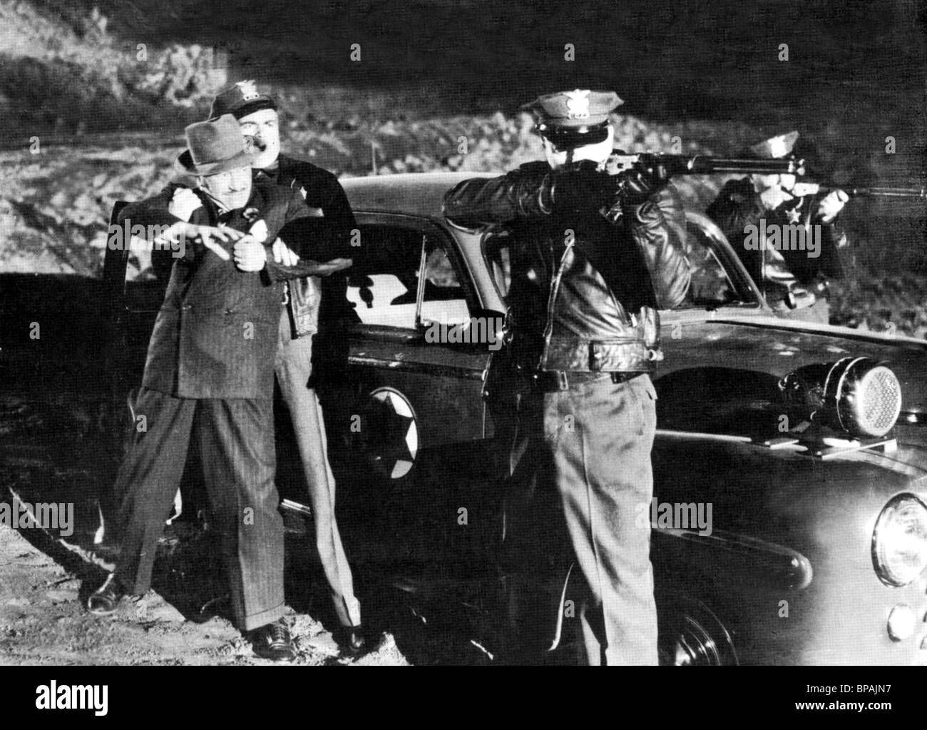 Mighty joe young hi-res stock photography and images - Alamy