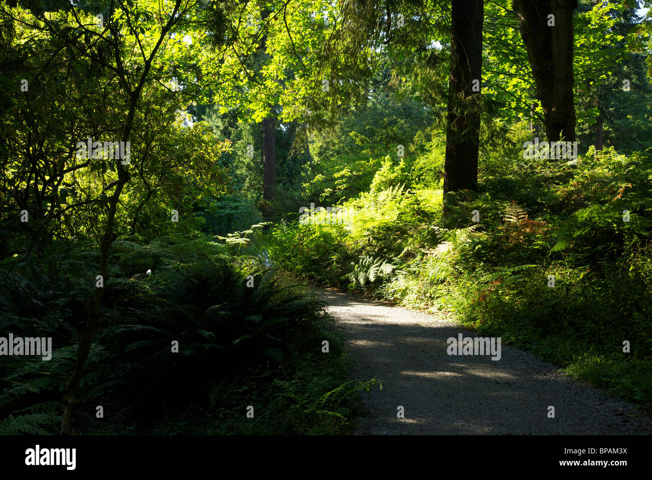 Secluded trail. Washington Park Arboretum, Seattle, Washington Stock ...