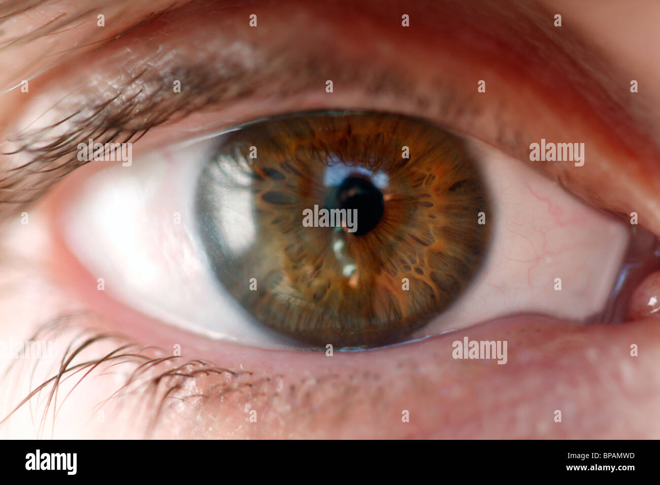 Close up of a man's eye Stock Photo - Alamy