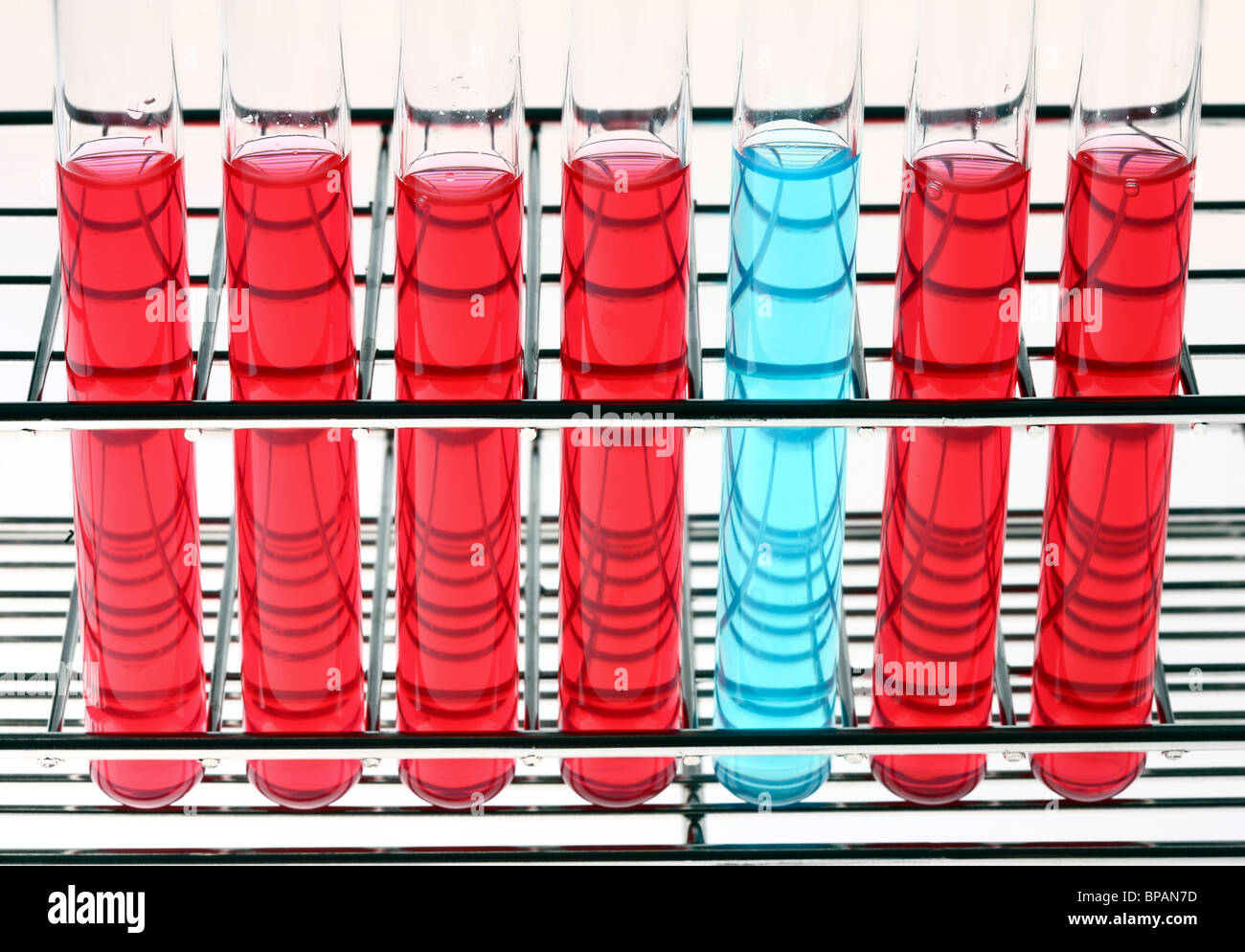Chemicals in test-tubes. Liquid chemicals in a chemical laboratory ...