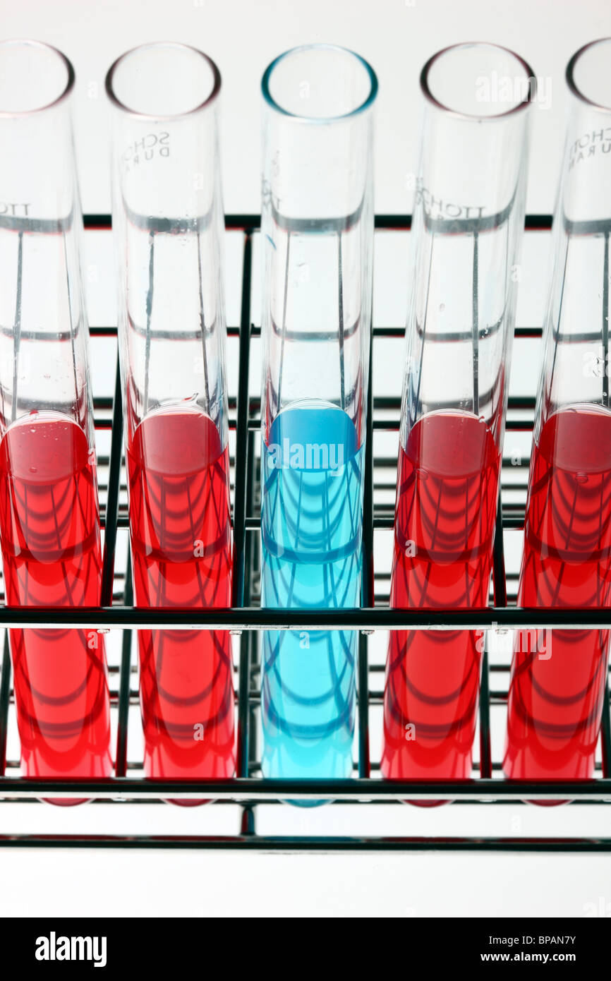 Chemicals in test-tubes. Liquid chemicals in a chemical laboratory ...