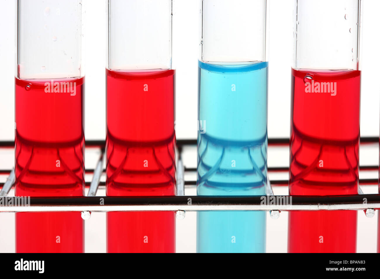 Chemicals in test-tubes. Liquid chemicals in a chemical laboratory ...
