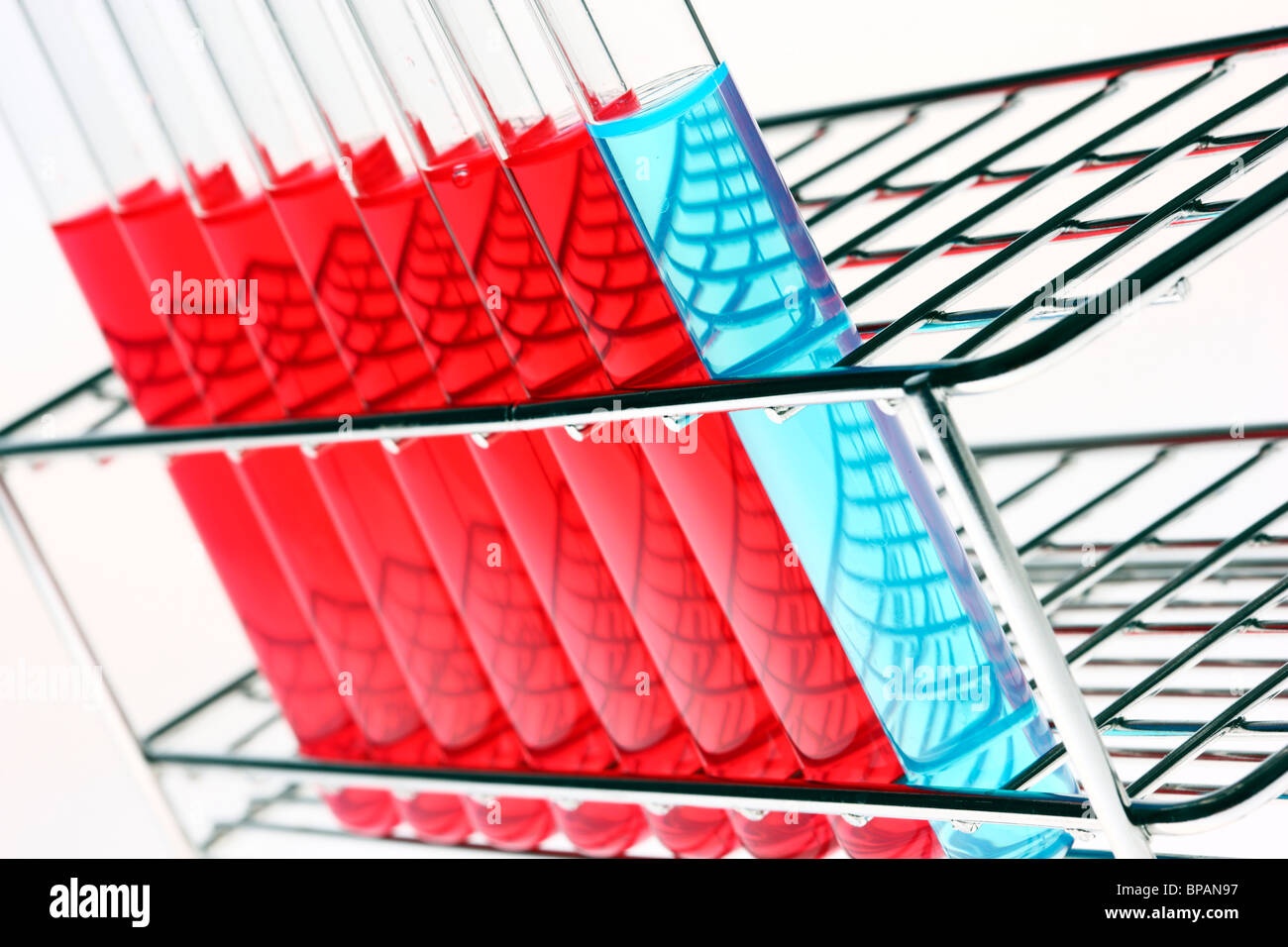 Chemicals in test-tubes. Liquid chemicals in a chemical laboratory ...