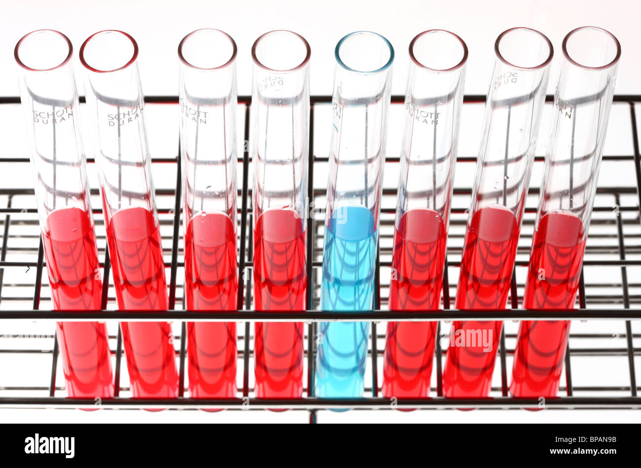 Chemicals in test-tubes. Liquid chemicals in a chemical laboratory ...